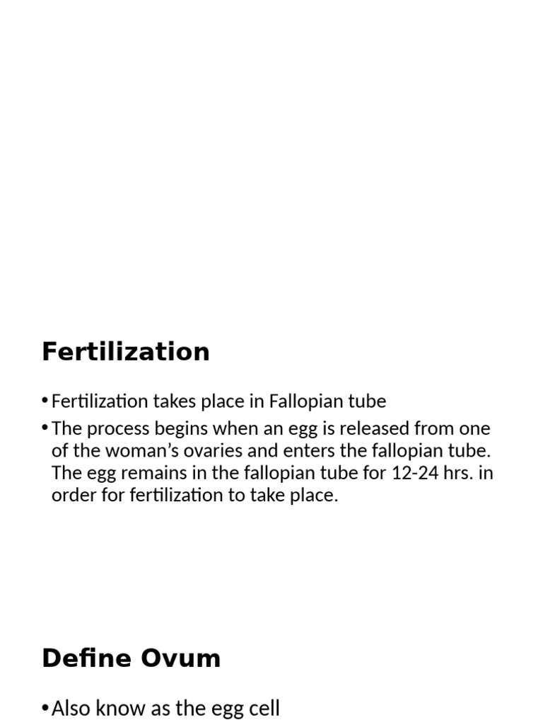 Female Fertilization | PDF | Uterus | Placenta