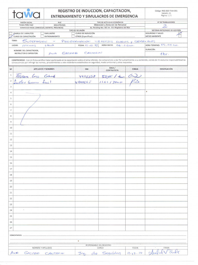 Supervision - Programacion de Trabajos Diarios y Semanales 0587 | PDF