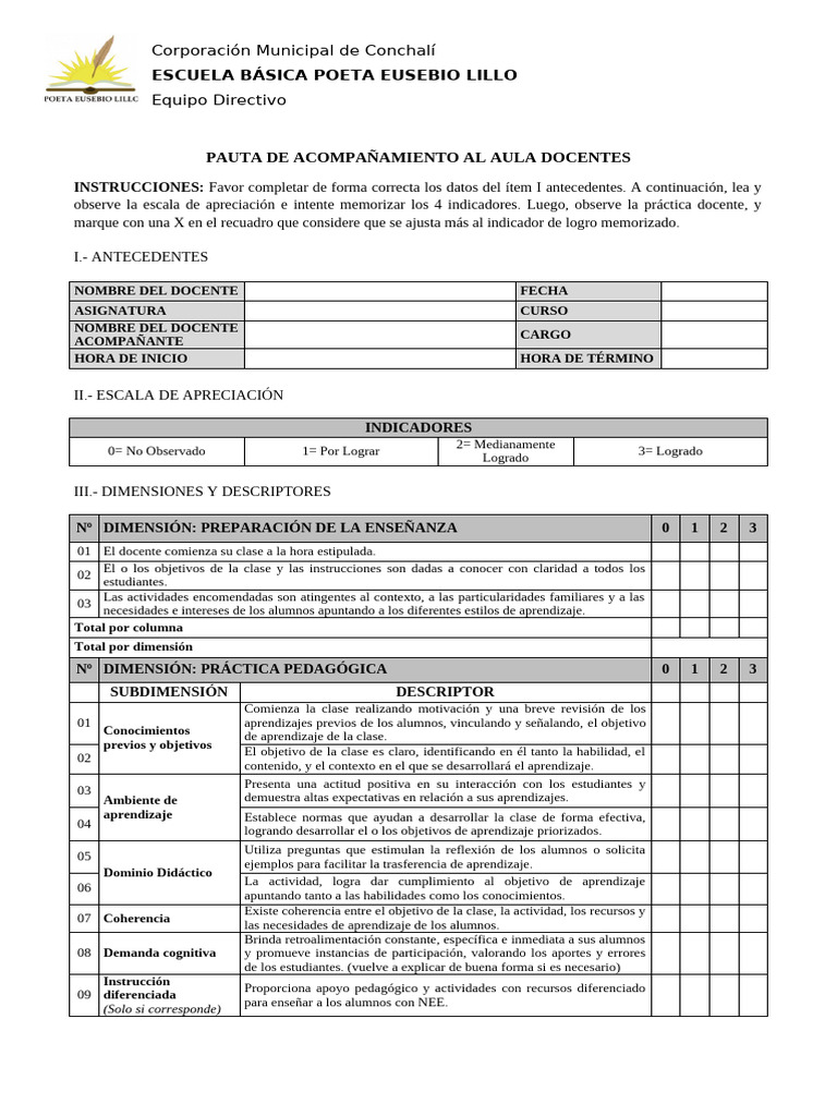 Pauta de Acompañamiento Docente Conchalí | PDF | Aprendizaje | Evaluación
