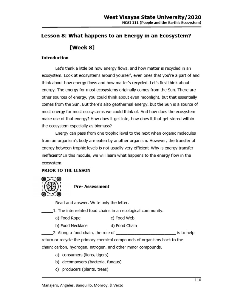 Lesson 8 (2) | PDF | Food Web | Ecosystem