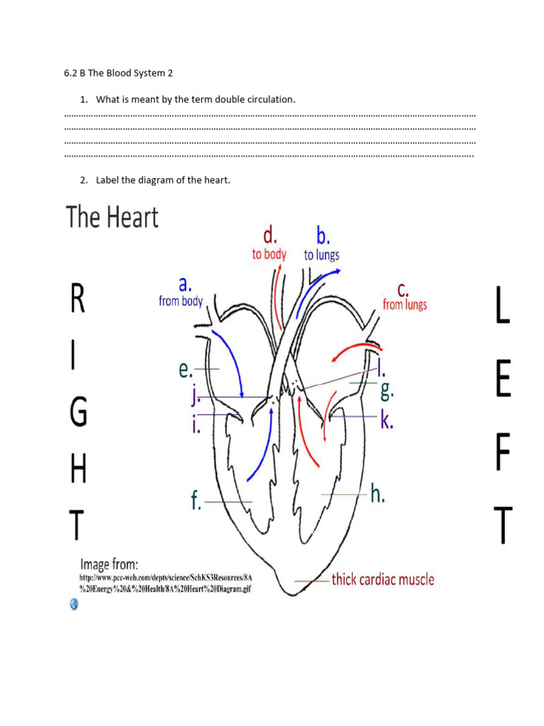 6B Heart | PDF
