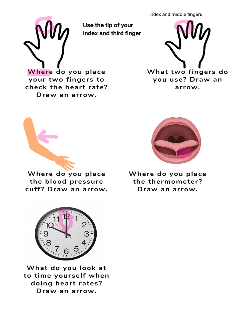 Blood Pressure Cuff and Heart Rate Guide | PDF