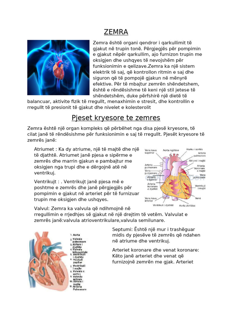 Zemra | PDF