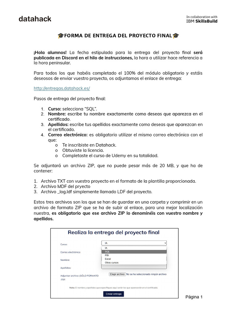 Forma de Entrega Proyecto Final SQL | PDF