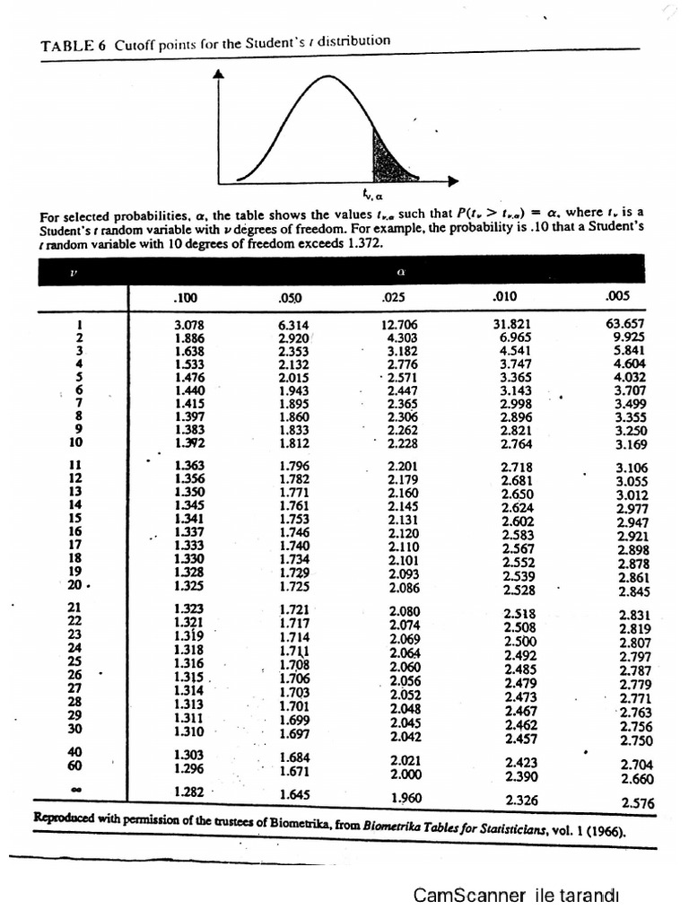 The t distribution Table | PDF