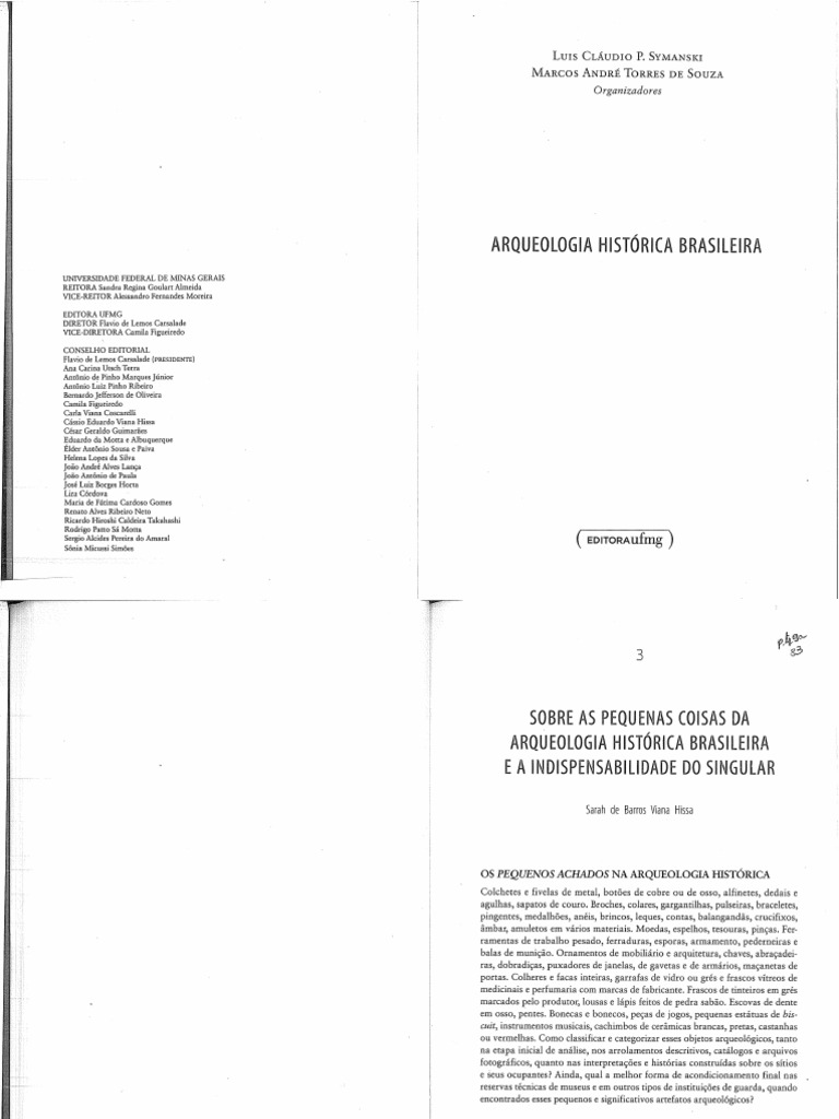 Symanski Luis - Arqueologia Hstorica Brasileira | PDF