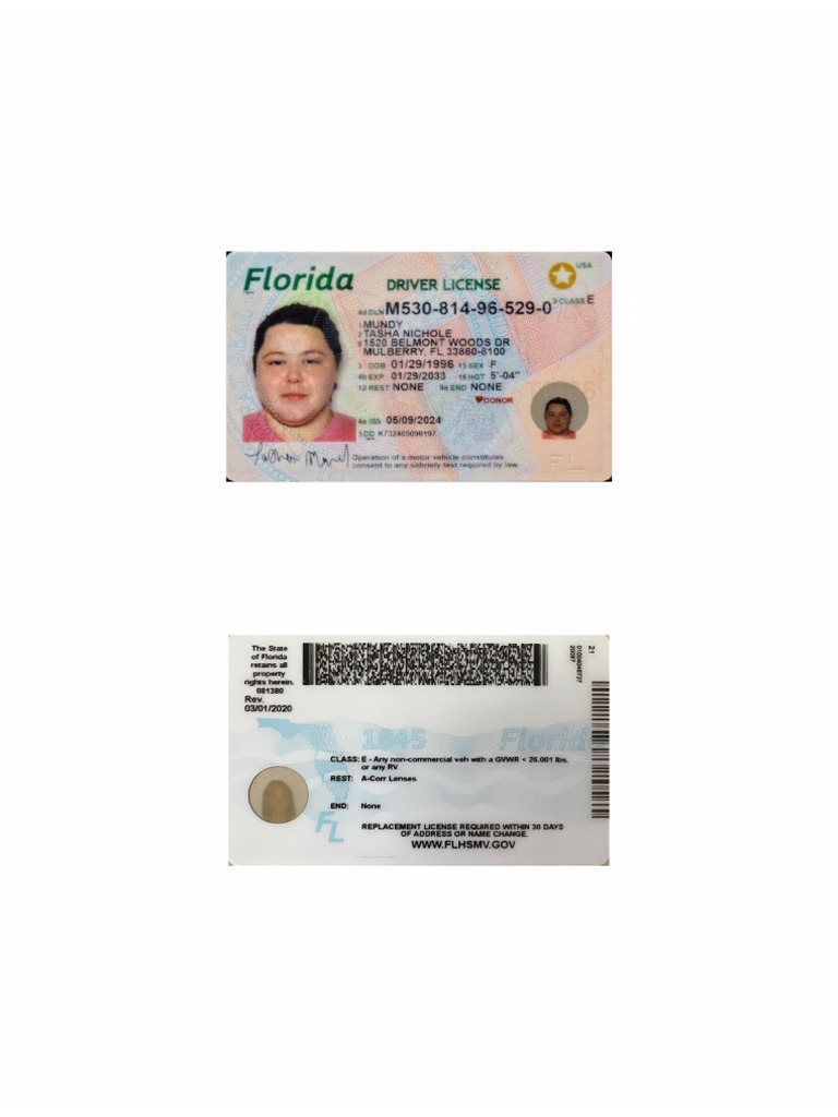 Driver License 11-12-2024 06.52 | PDF