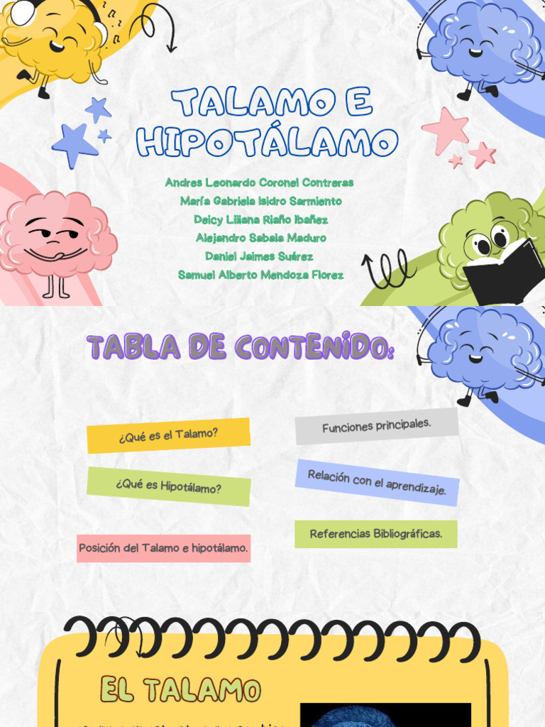 Talamo e Hipotálamo, Teorias | PDF | Hipotálamo | Tálamo