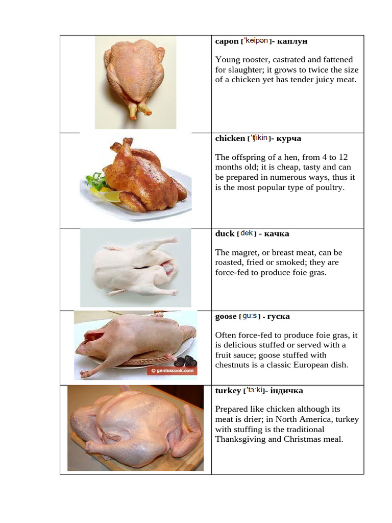 Poultry | PDF