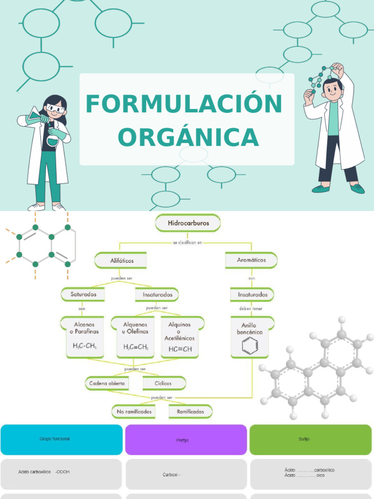 Formulación Orgánica | PDF