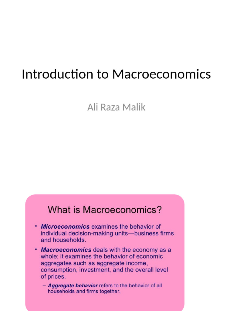 Introduction To Macroeconomics | PDF