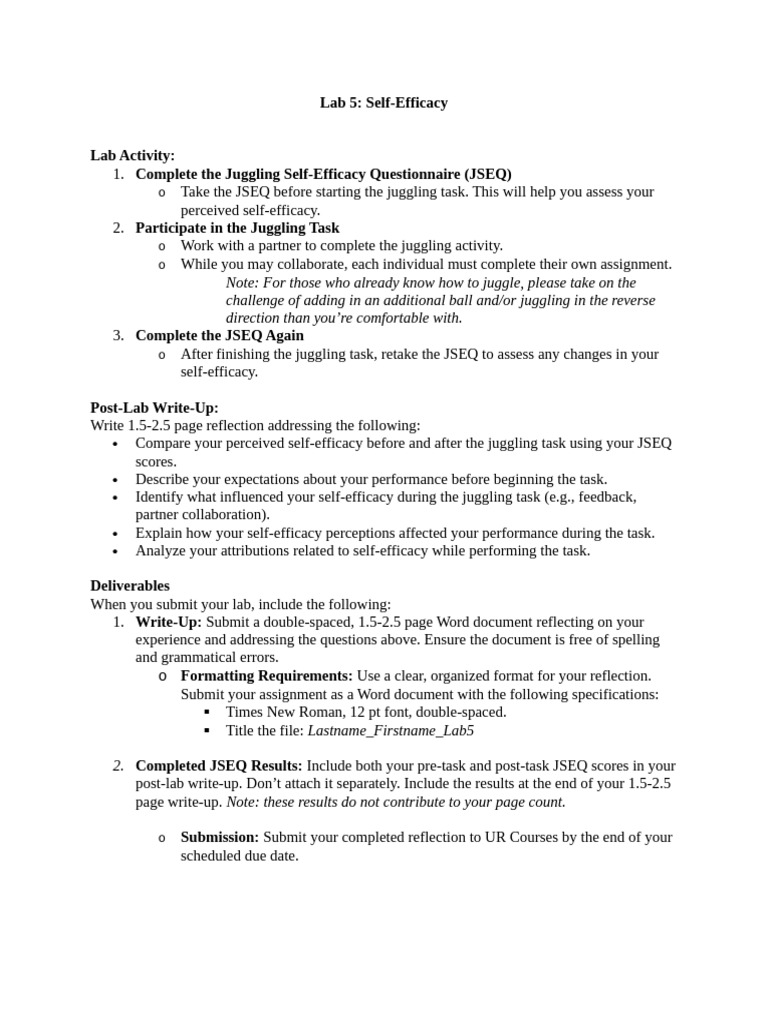 Juggling Self-Efficacy Lab Reflection | PDF | Self Efficacy | Cognitive ...