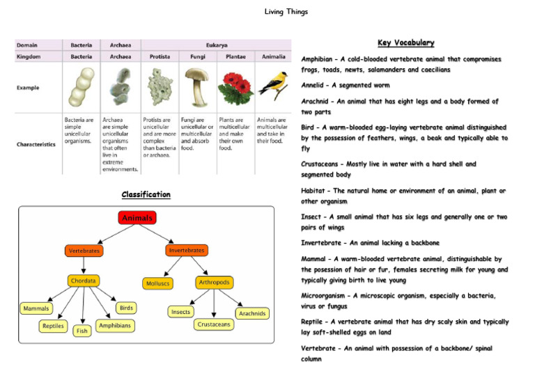 Livingthings Knowledge Organiser | PDF