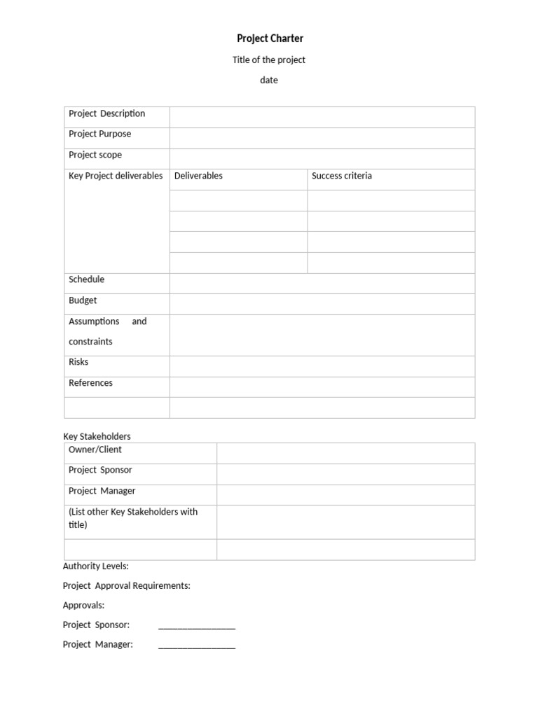 8 - Project Charter Template | PDF