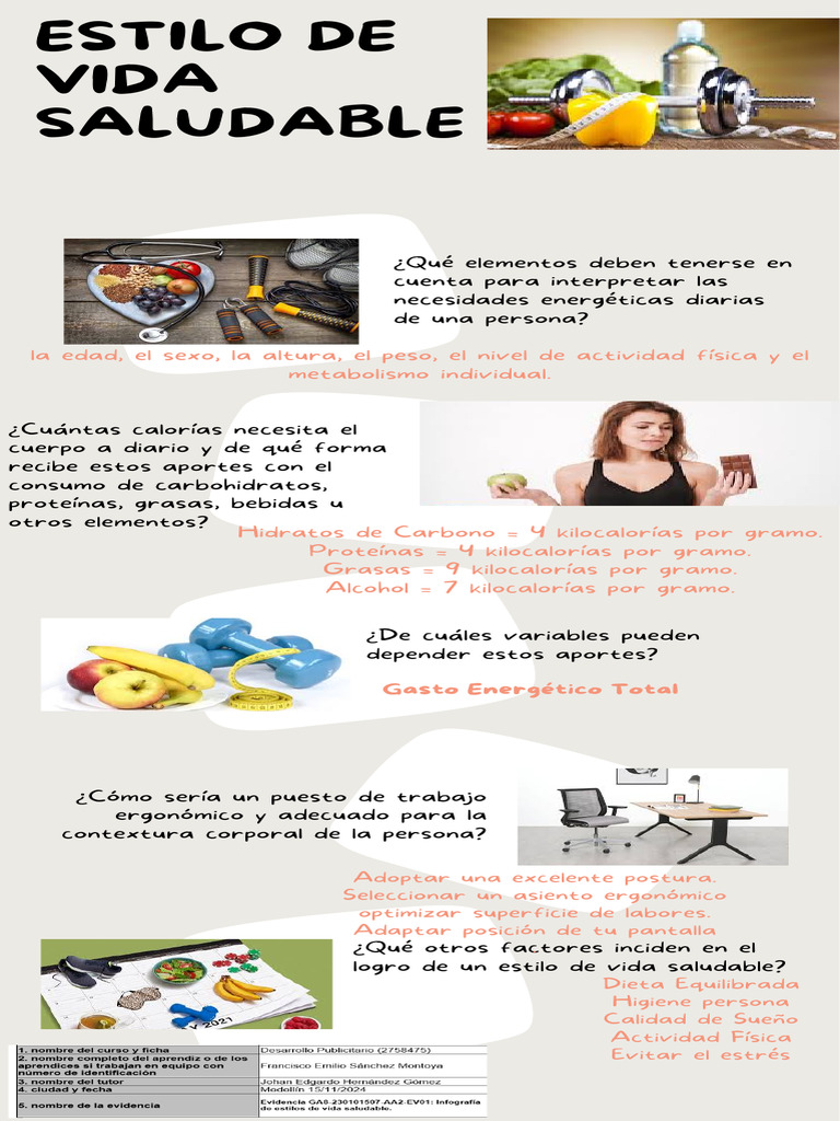 Evidencia GA8-230101507-AA2-EV01 Infografía de Estilos de Vida Saludable. | PDF