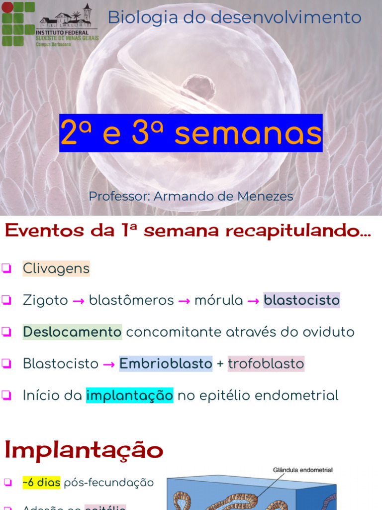 2a e 3a Semanas - Gastrulacao | PDF | Anatomia | Biologia de Desenvolvimento