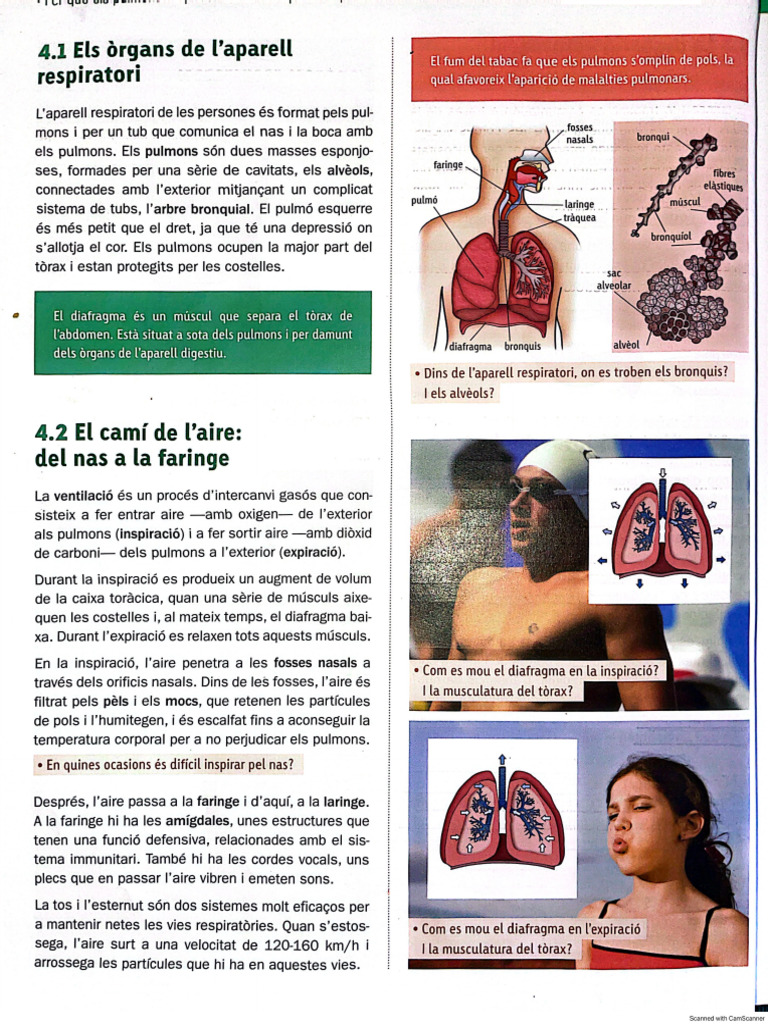 Aparell Respiratori | PDF