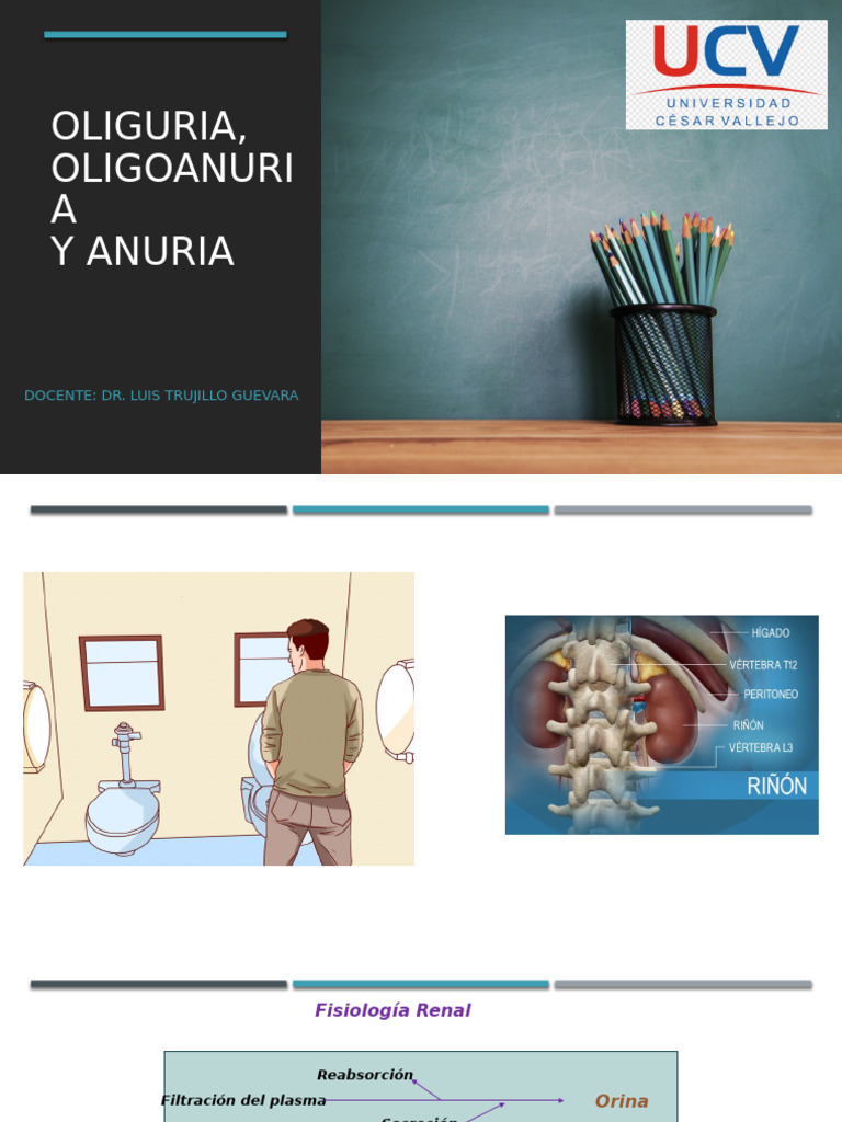 Oliguria y Oligoanuria: Definición y Diferencias | PDF | Riñón | Isquemia