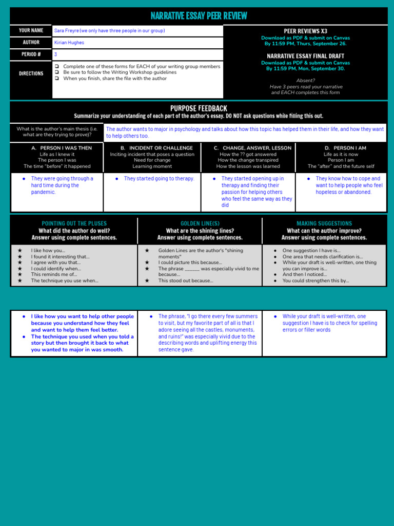 Narrative Essay Peer Review Guide | PDF