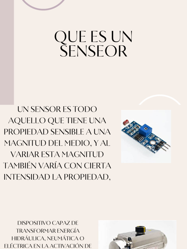 Que Es Un Censeor | PDF