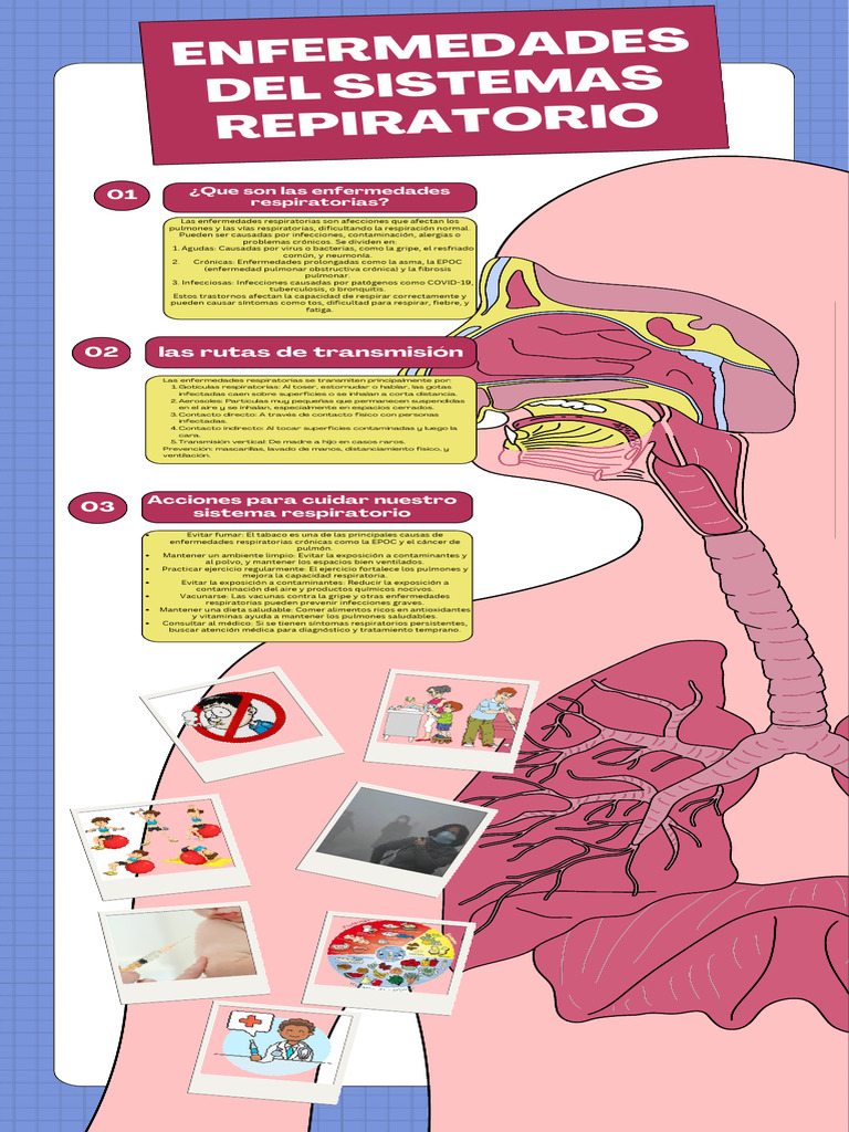 The Respiratory System Educational Infographic in Blue, Yellow, and ...