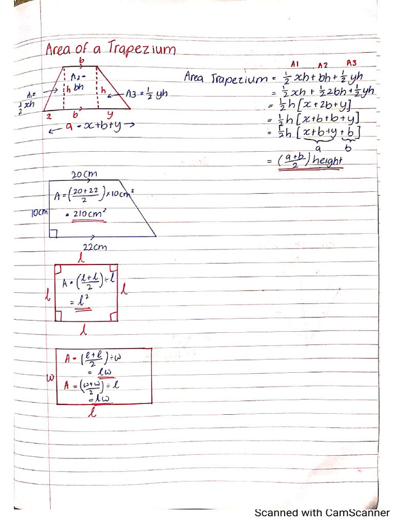 Area Notes - Yr8 | PDF