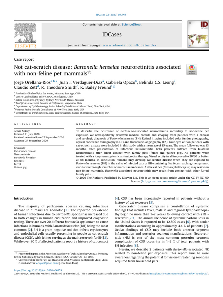 Bartonella Neuroretinitis from Non-Feline Pets | PDF | Clinical ...