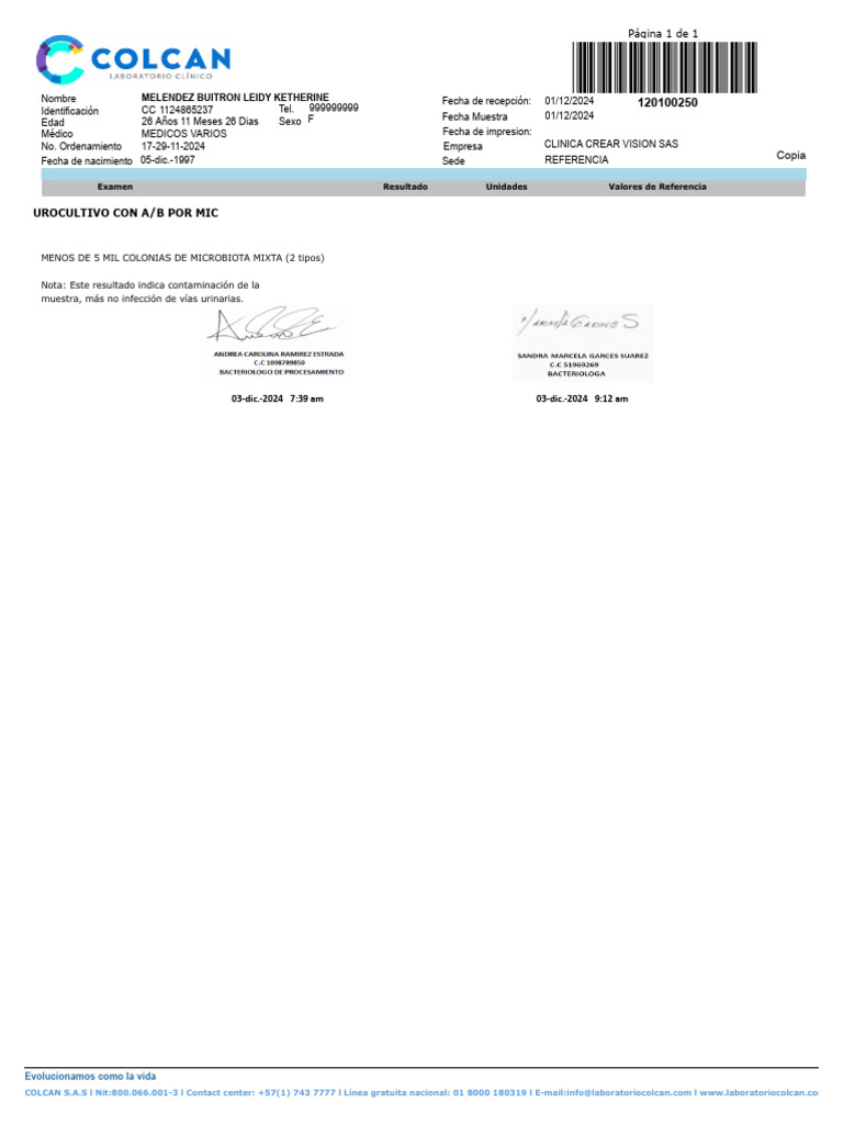 Leidy Melendez Buitron 1 | PDF