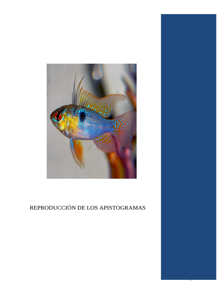 Pez Ramirez Alo | PDF | Acuario | Agua
