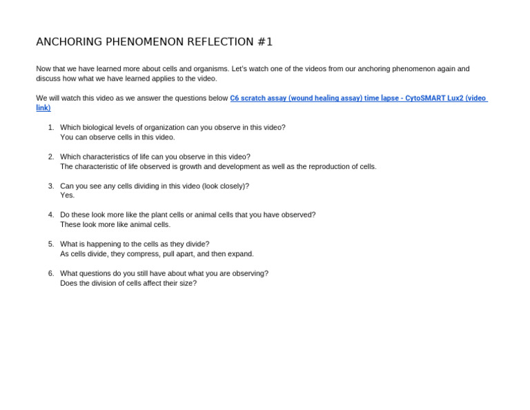 Anchoring Phenomenon Reflection #1-1 | PDF