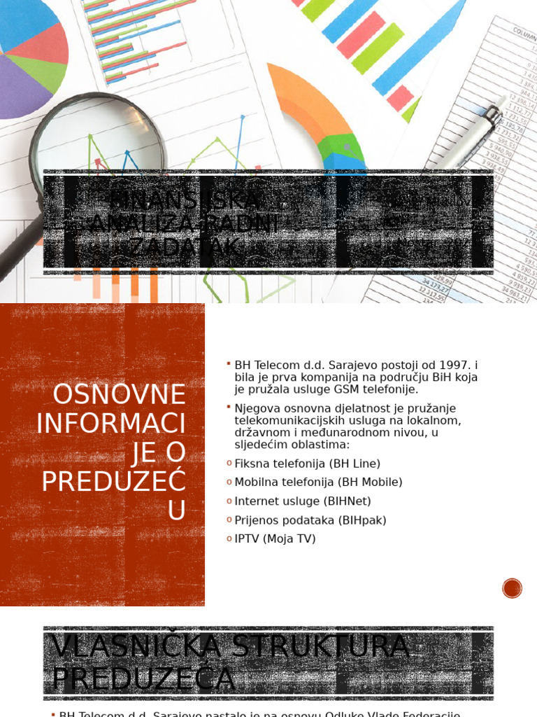 Finansijska Analiza-Radni Zadatak | PDF