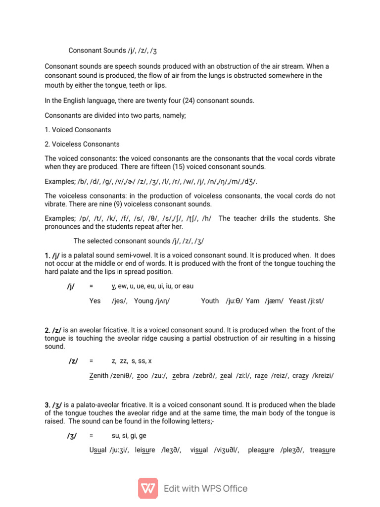 11101_Consonant Sound-WPS Office | PDF