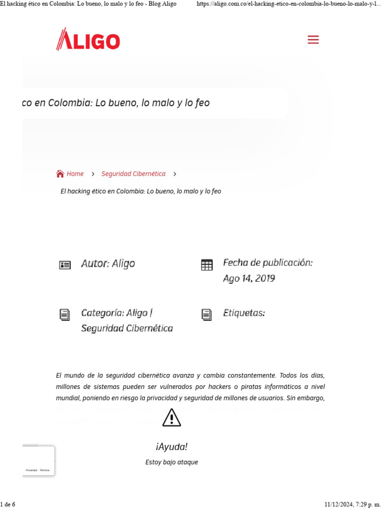 El Hacking Ético en Colombia - Lo Bueno, Lo Malo y Lo Feo - Blog Aligo ...