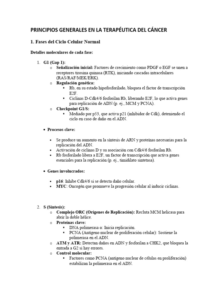 Ciclo Celular y Terapias en Cáncer | PDF | Apoptosis | P53