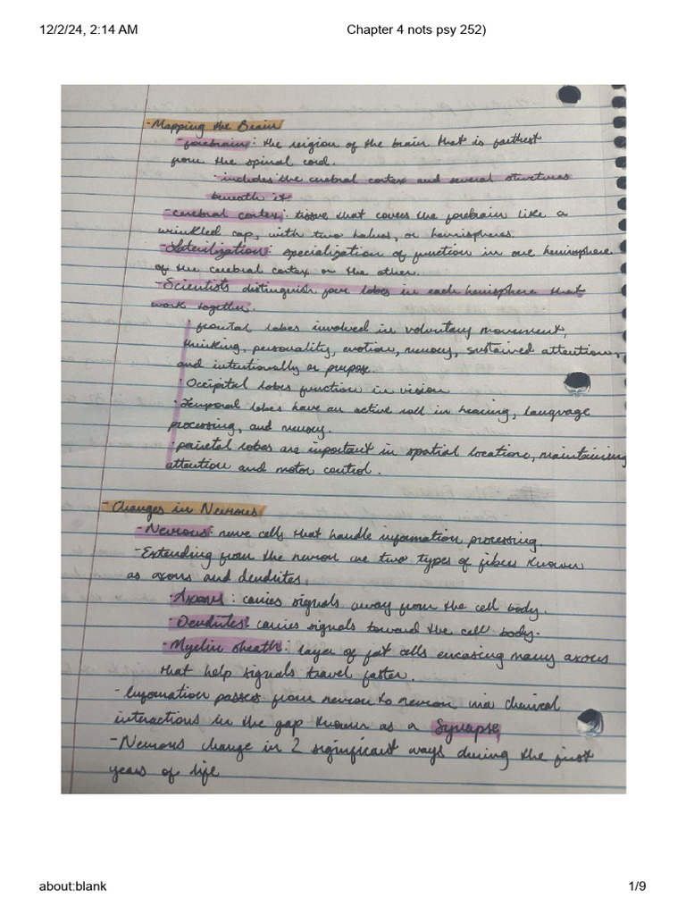 Chapter 4 Notes Psy 252) | PDF