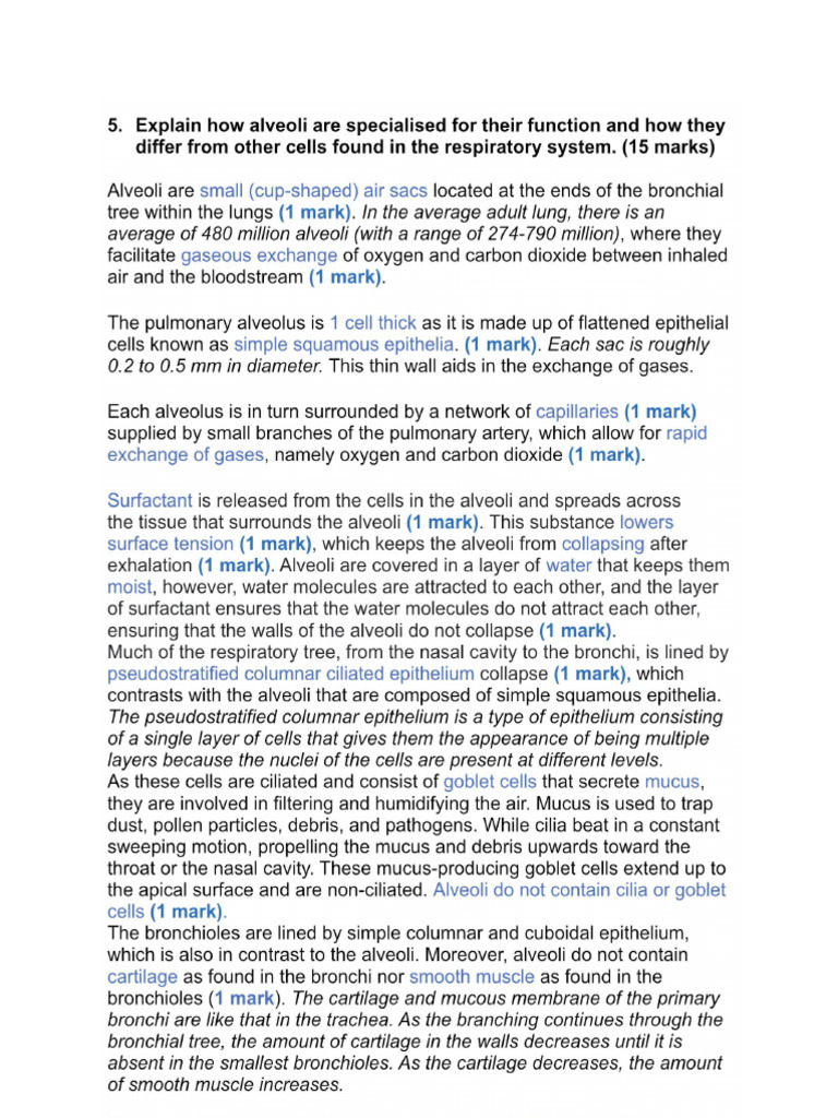 Essay Questions | PDF