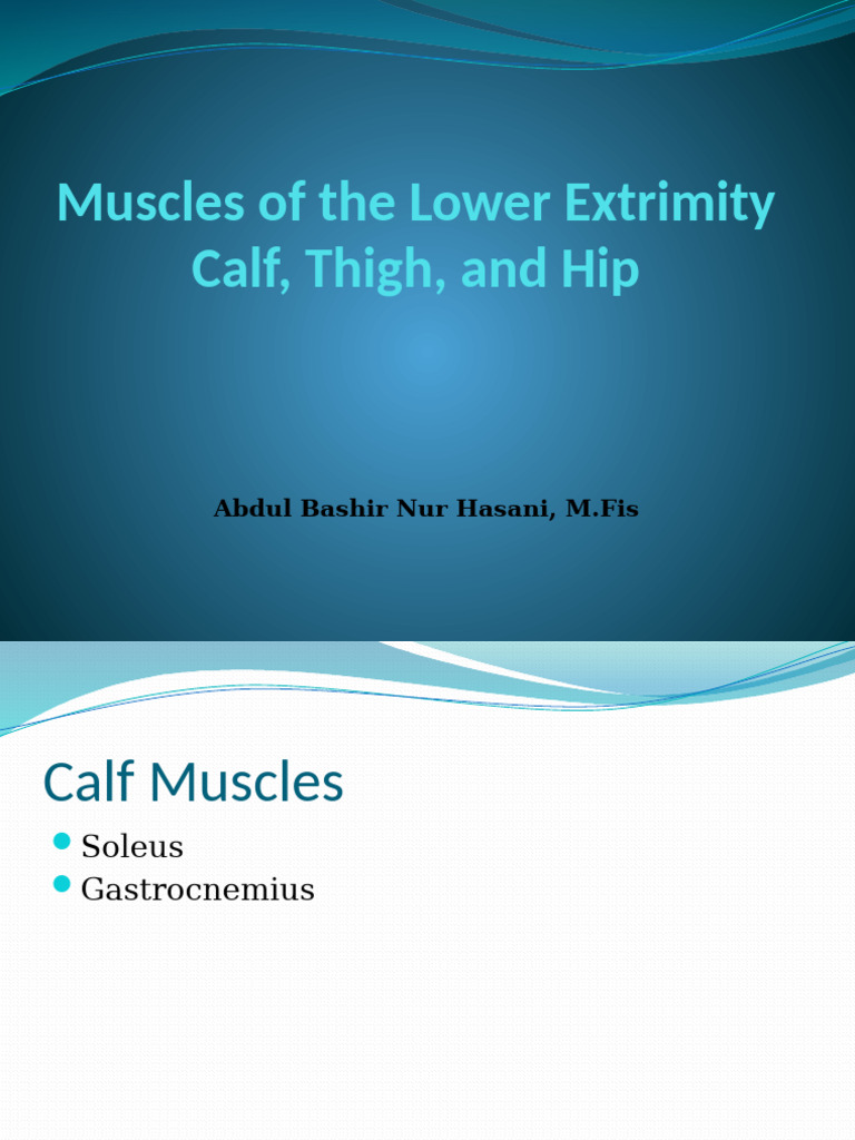 Lower Extrimity Anatomy | PDF | Human Leg | Musculoskeletal System