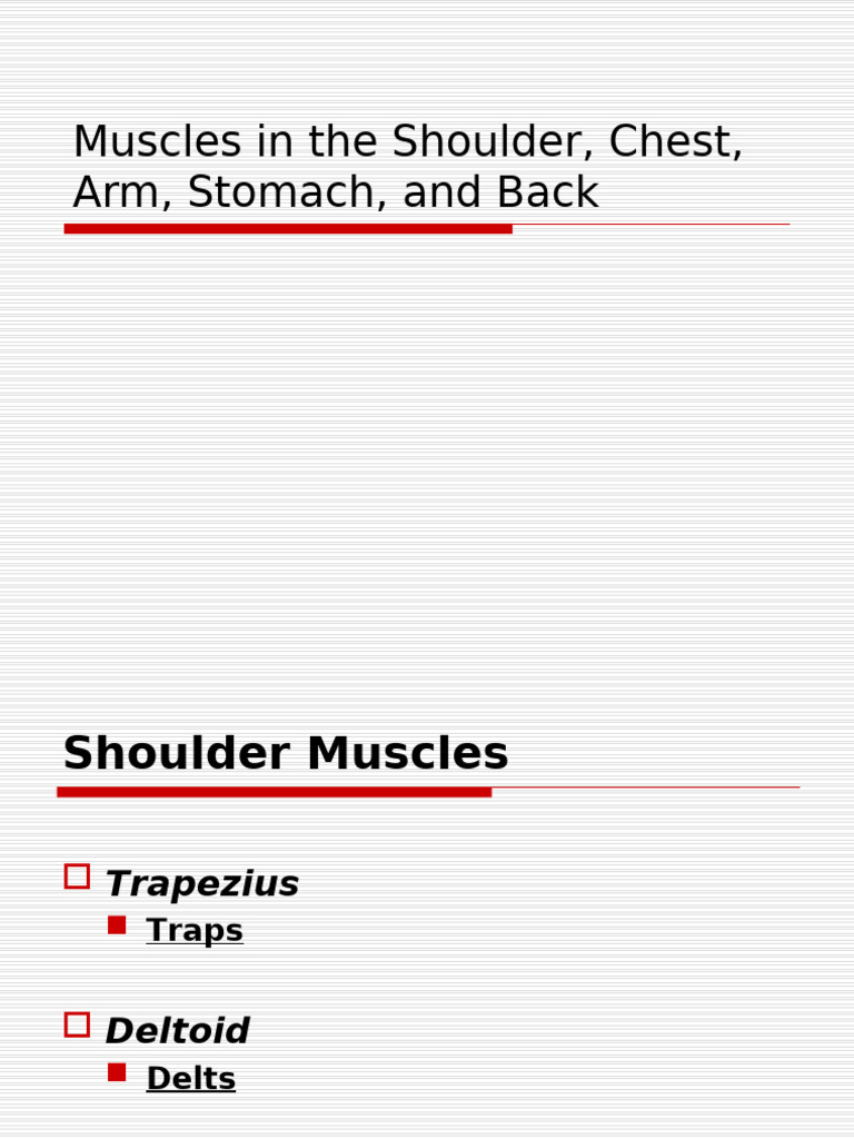 2. upper extrimity anatomy | PDF | Arm | Musculoskeletal System