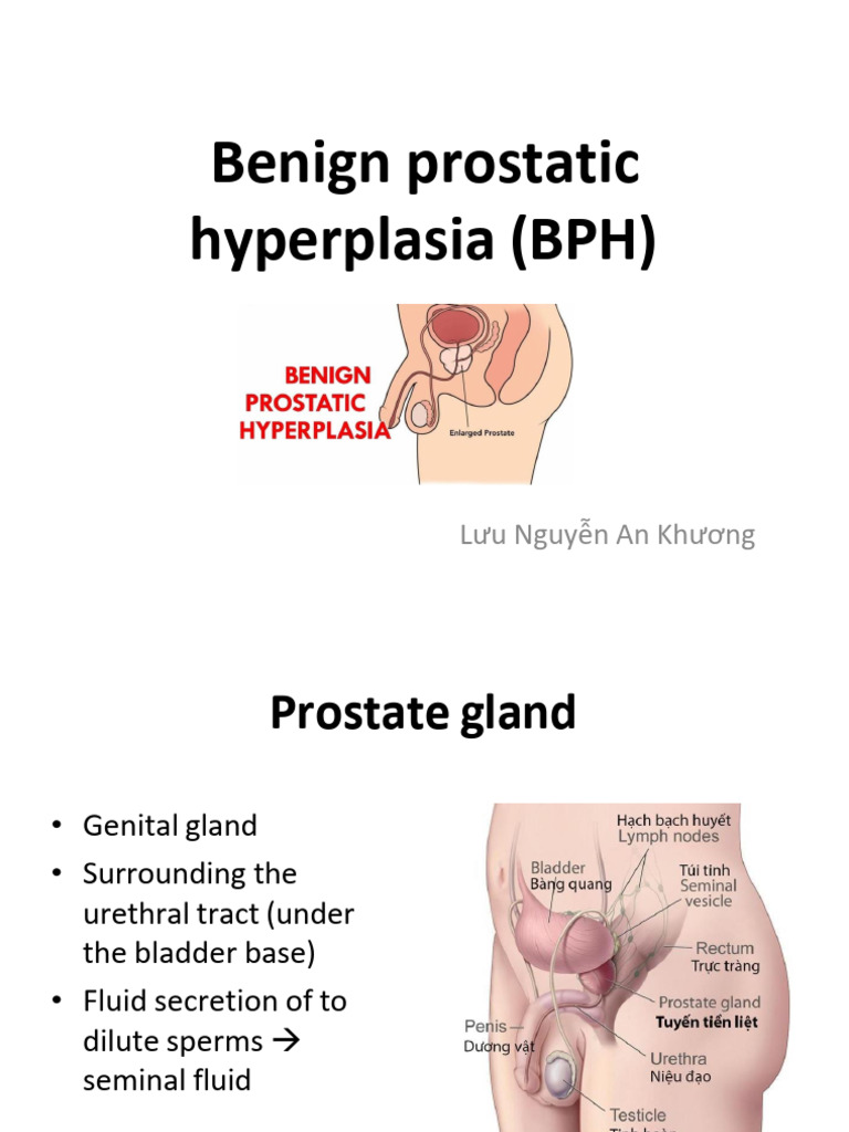 Benign Prostatic Hyperplasia | PDF | Prostate | Medical Specialties