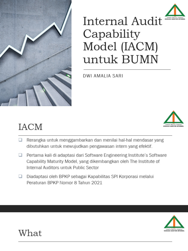 Model Kapabilitas Audit Internal BUMN | PDF