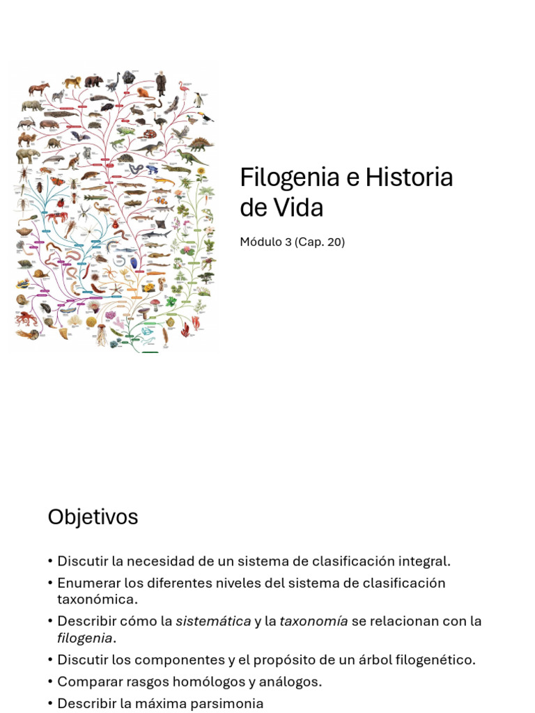 3 - Cap 20 - Filogenia e Historia de Vida - S24 | PDF | Filogenética ...