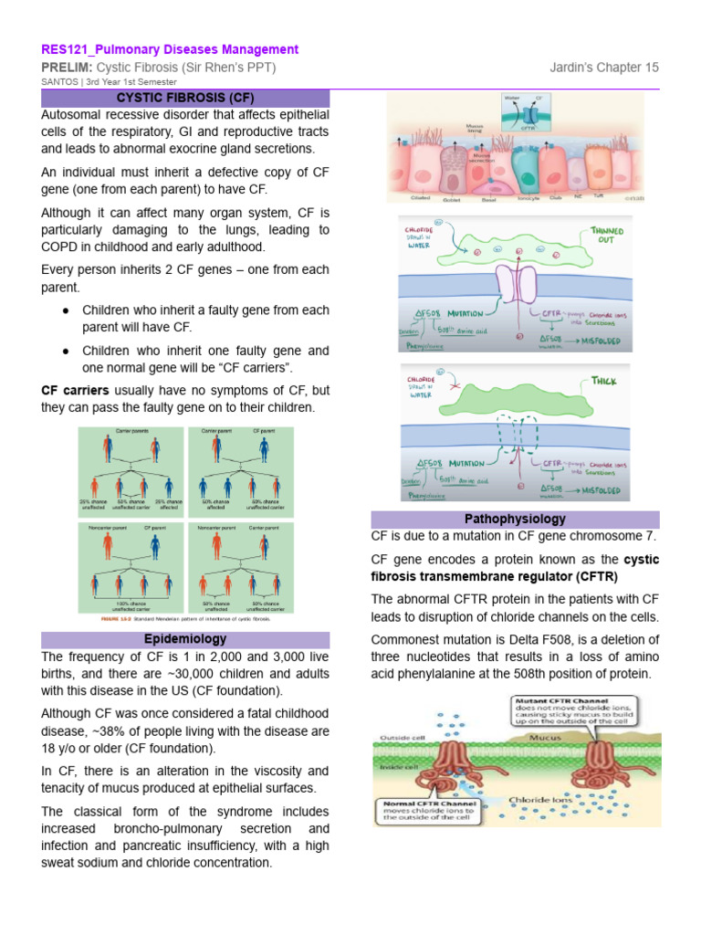 PDM CF | PDF | Diseases And Disorders | Medical Specialties
