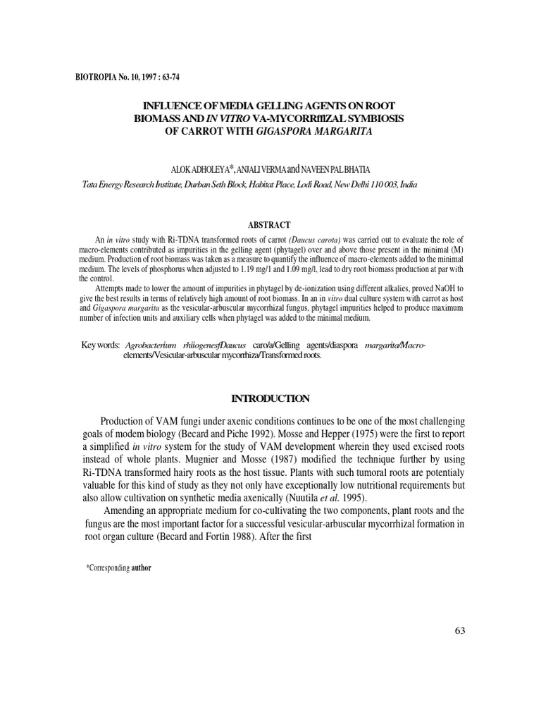 56108 en Influence of Media Gelling Agents on Roo | PDF | Root | Calcium