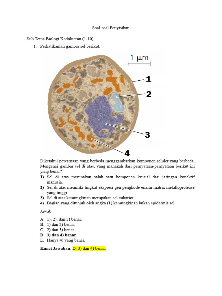 Soal-Soal Penyisihan OMICRON II | PDF
