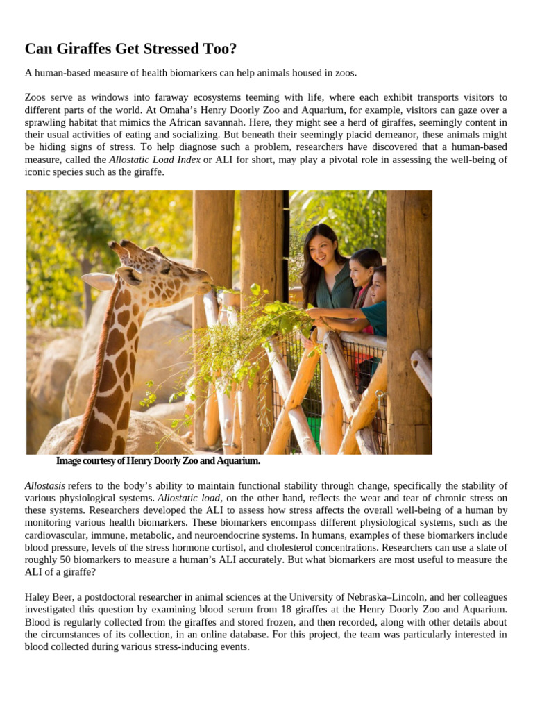 Can Giraffe Get Stressed Too | PDF | Stress (Biology) | Cortisol