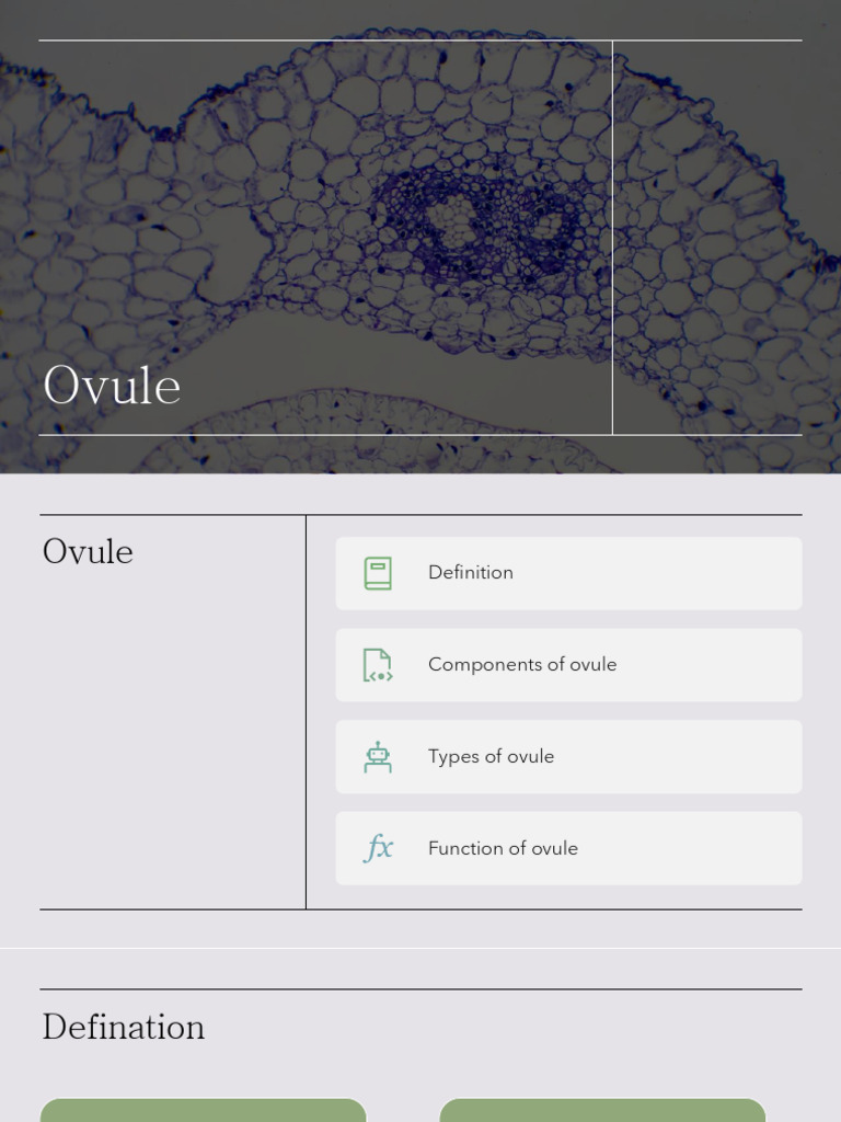 Ovule | PDF