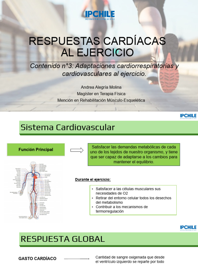 Respuestas Cardíacas Al Ejercicio | PDF | Corazón | Músculo