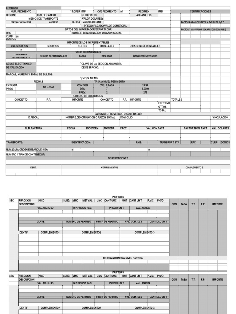 FORMATO GRANDE PEDIMENTO | PDF