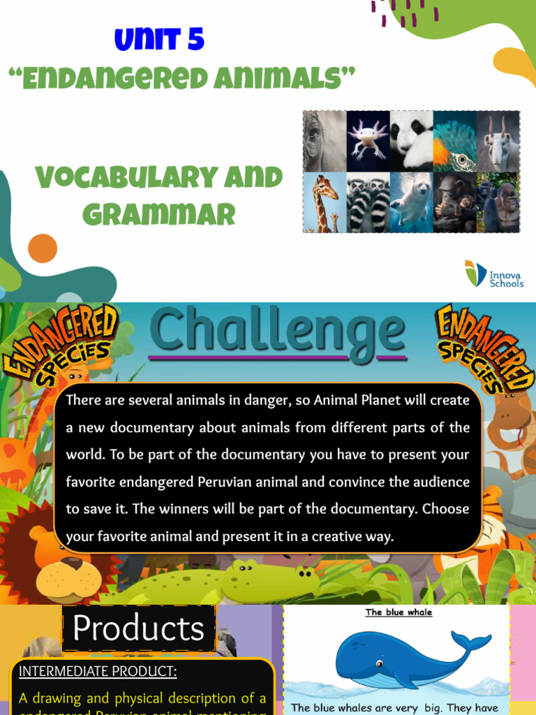 Vocabulario de Unidad 1 11545801 | PDF | Andes | Natural Environment