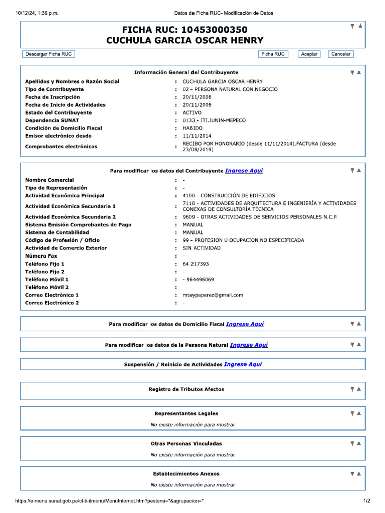 Ficha Ruc 2024 | PDF